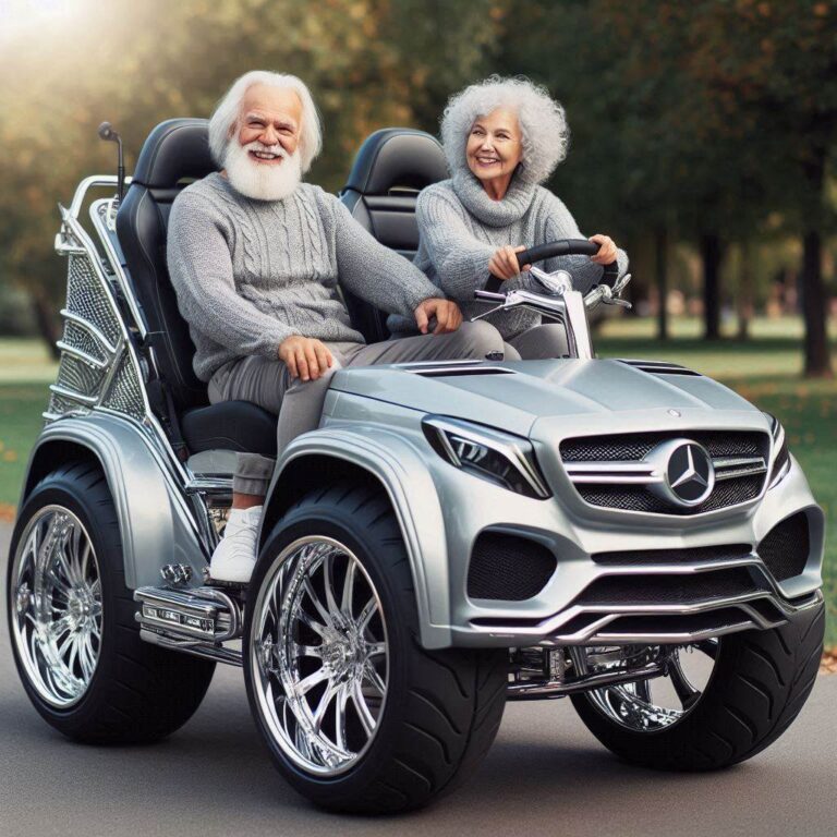 Mercedes Double Wheelchair Vehicle: The Ultimate Accessibility Solution ...